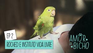 Roched e Instituto Vida Livre